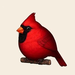 Fat Bird - Cardinal II (Timed Edition) by Mike Mitchell Editioned ...