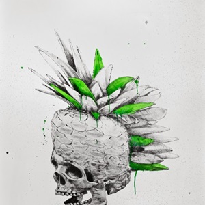 Punk Pineapple by Ludo Editioned artwork | Art Collectorz