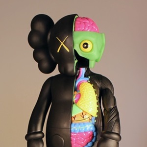 Kaws Companion : Dissected (Black) by Kaws Editioned artwork | Art ...