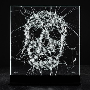 Skull by Simon Berger Editioned artwork | Art Collectorz