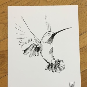 Hummingbird by Jude Angelini Editioned artwork | Art Collectorz