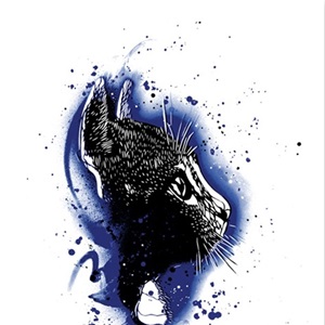 Le Chat (Bleu) by C215 Editioned artwork | Art Collectorz