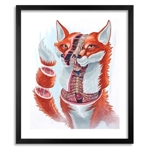 Dissection Of A Fox by Nychos Editioned artwork | Art Collectorz