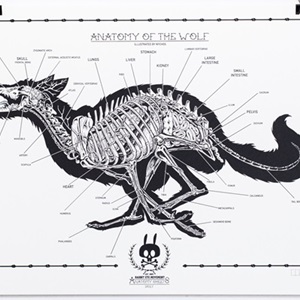 Anatomy Of The Wolf: Anatomy Sheet No.12 by Nychos Editioned artwork ...