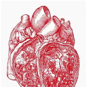 Little Heart by Eric Helvie Editioned artwork | Art Collectorz