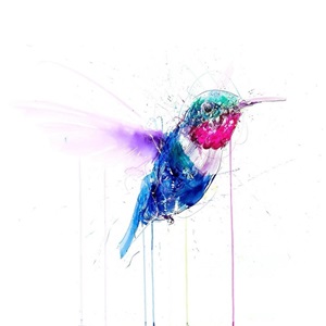 Hummingbird I (2021) by Dave White Editioned artwork | Art Collectorz