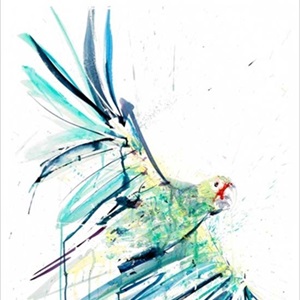 Amazonian Parrot (First Edition) by Dave White Editioned artwork | Art ...