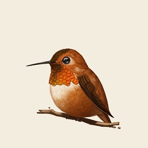 Fat Bird - Rufous Hummingbird by Mike Mitchell Editioned artwork | Art ...