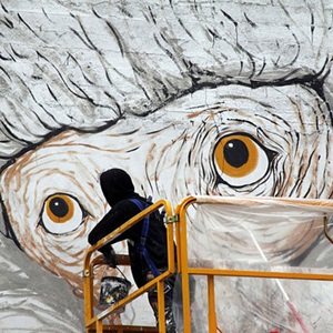 Ericailcane Artworks | Art Collectorz